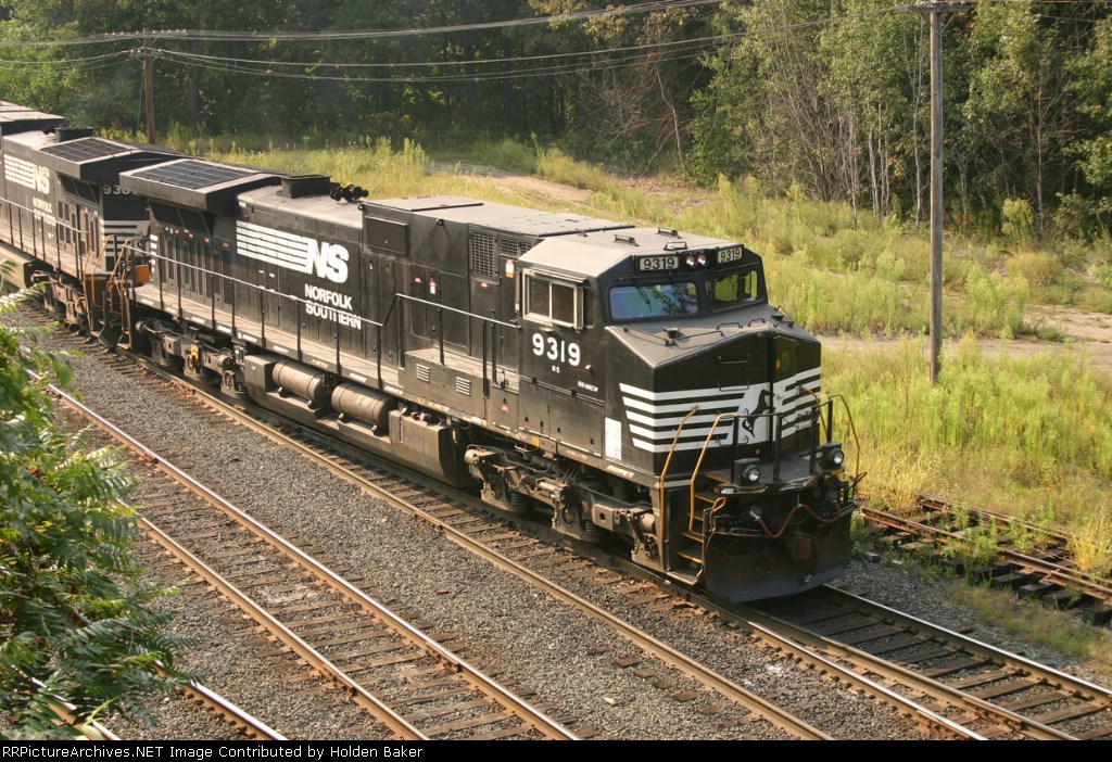 NS 9319